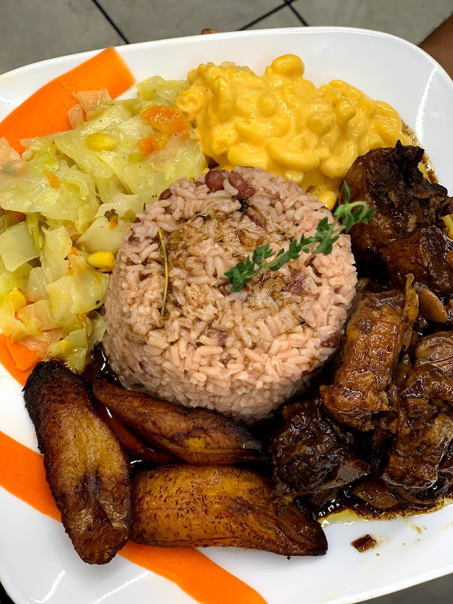 Tropical Delight - Menu Highlights, Pricing & Where to Find It